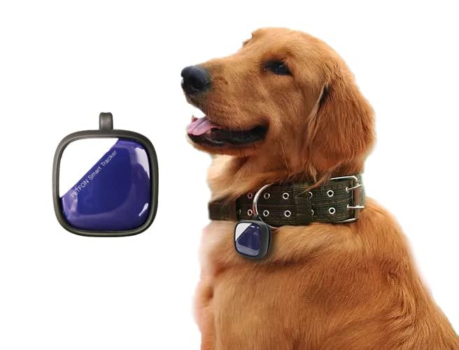 Los Mejores GPS para Perros (2025) - Seguridad y Tranquilidad